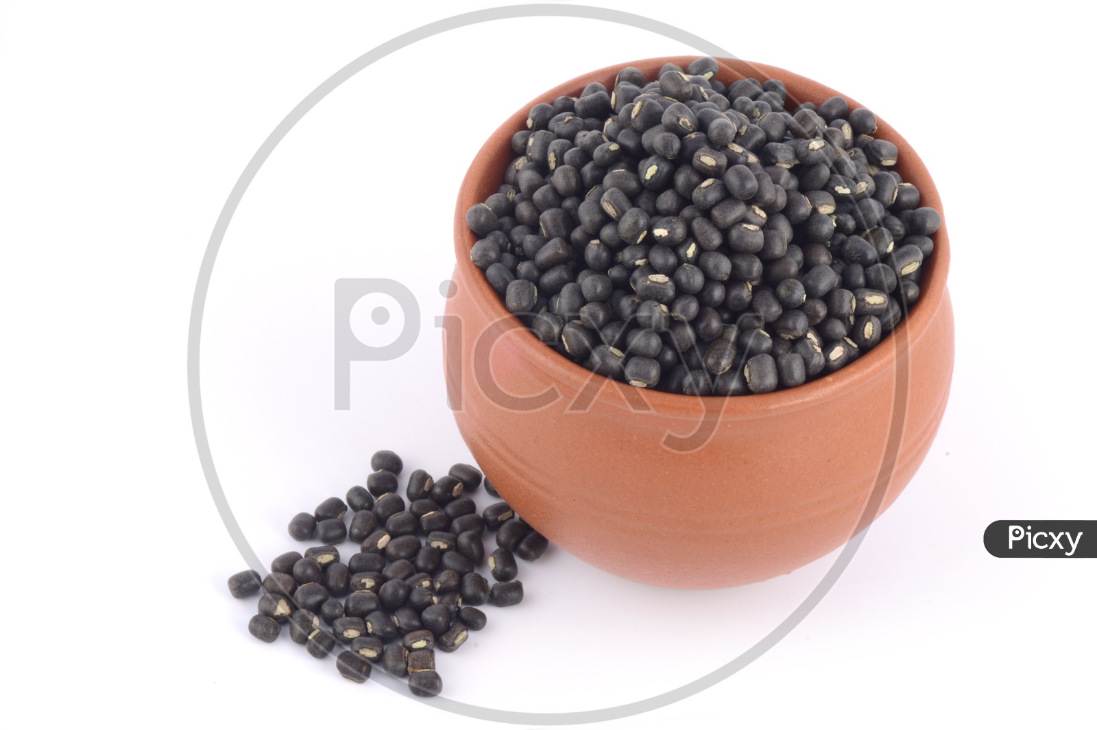 Image of Urad dal, black gram, Vigna mungo in a Clay Pot on An Isolated ...