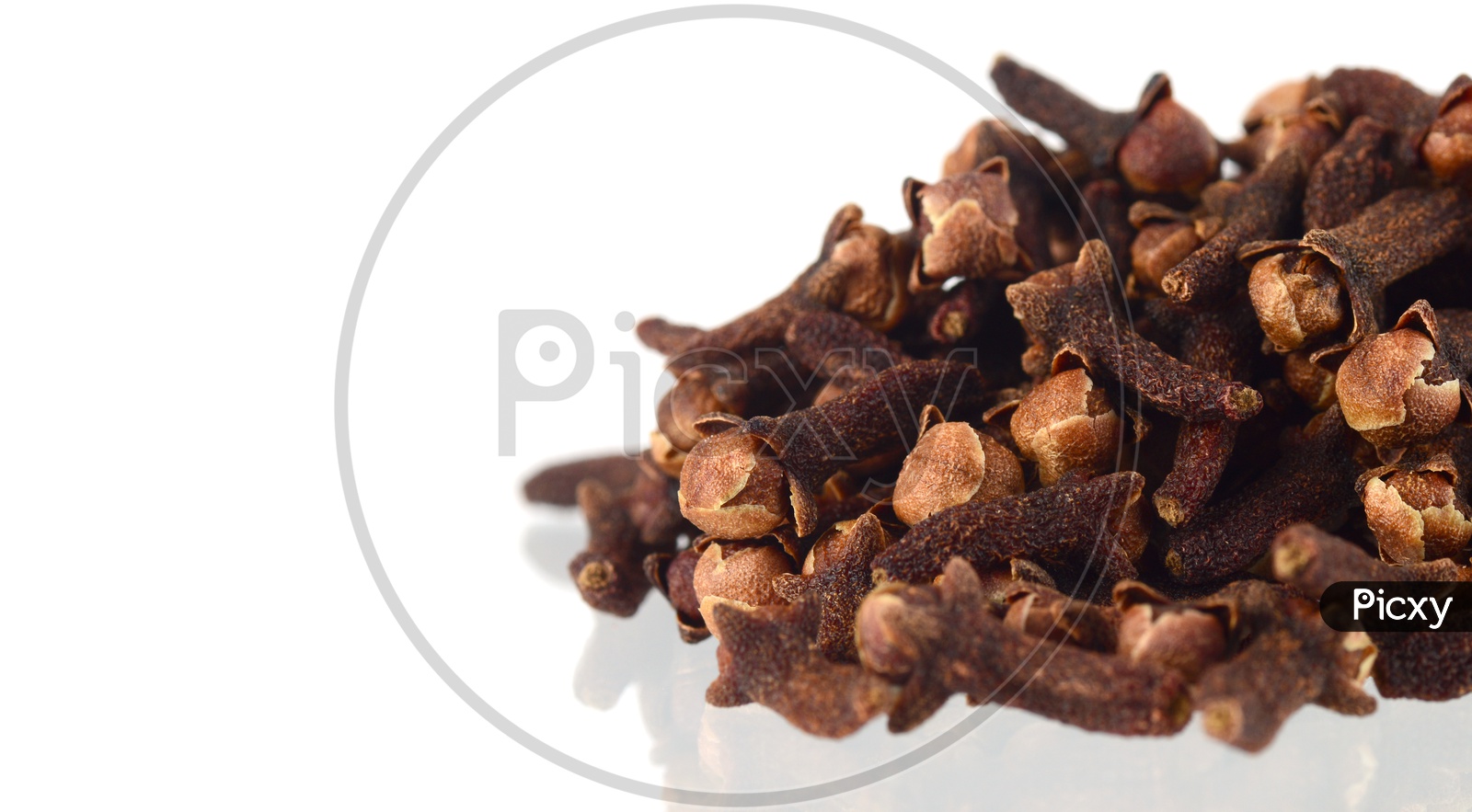 Image of Indian Cloves Or Indian Spices Cloves Pile On an Isolated ...