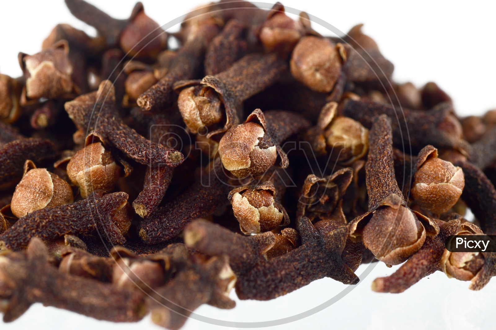 Image of Indian Cloves Or Indian Spices Cloves Pile On an Isolated ...