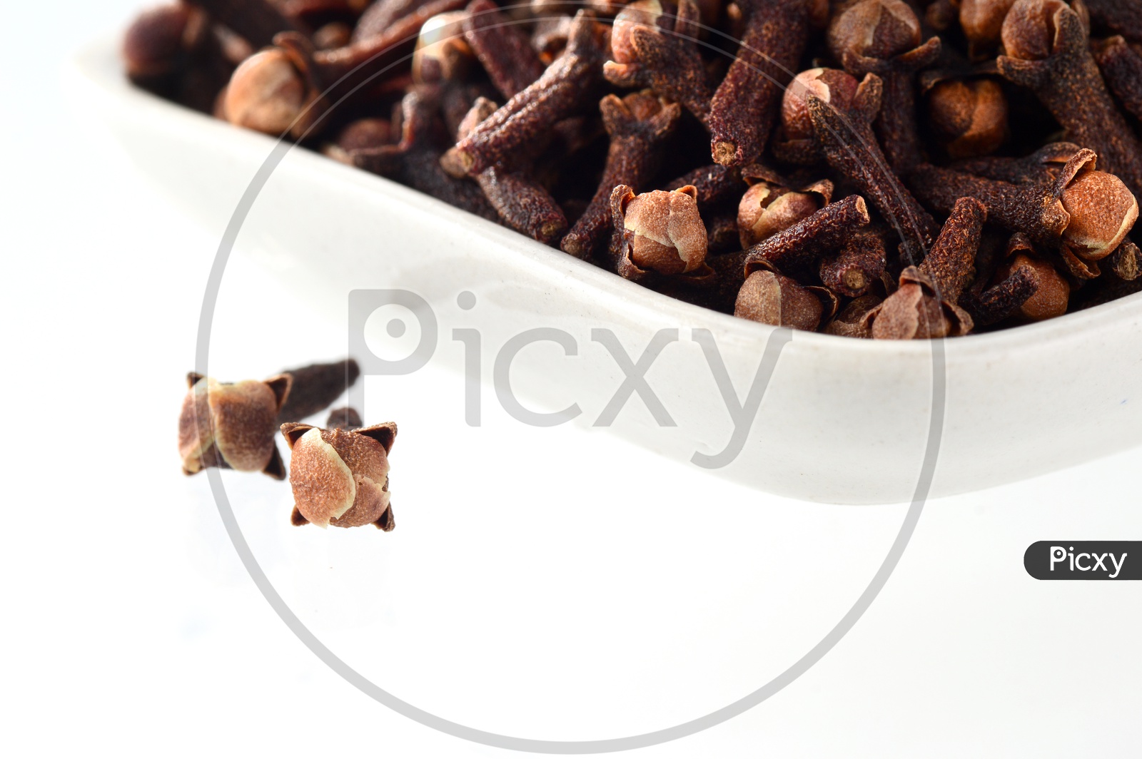 Image of Cloves Or Indian Spices Cloves In a Bowl On An Isolated White ...