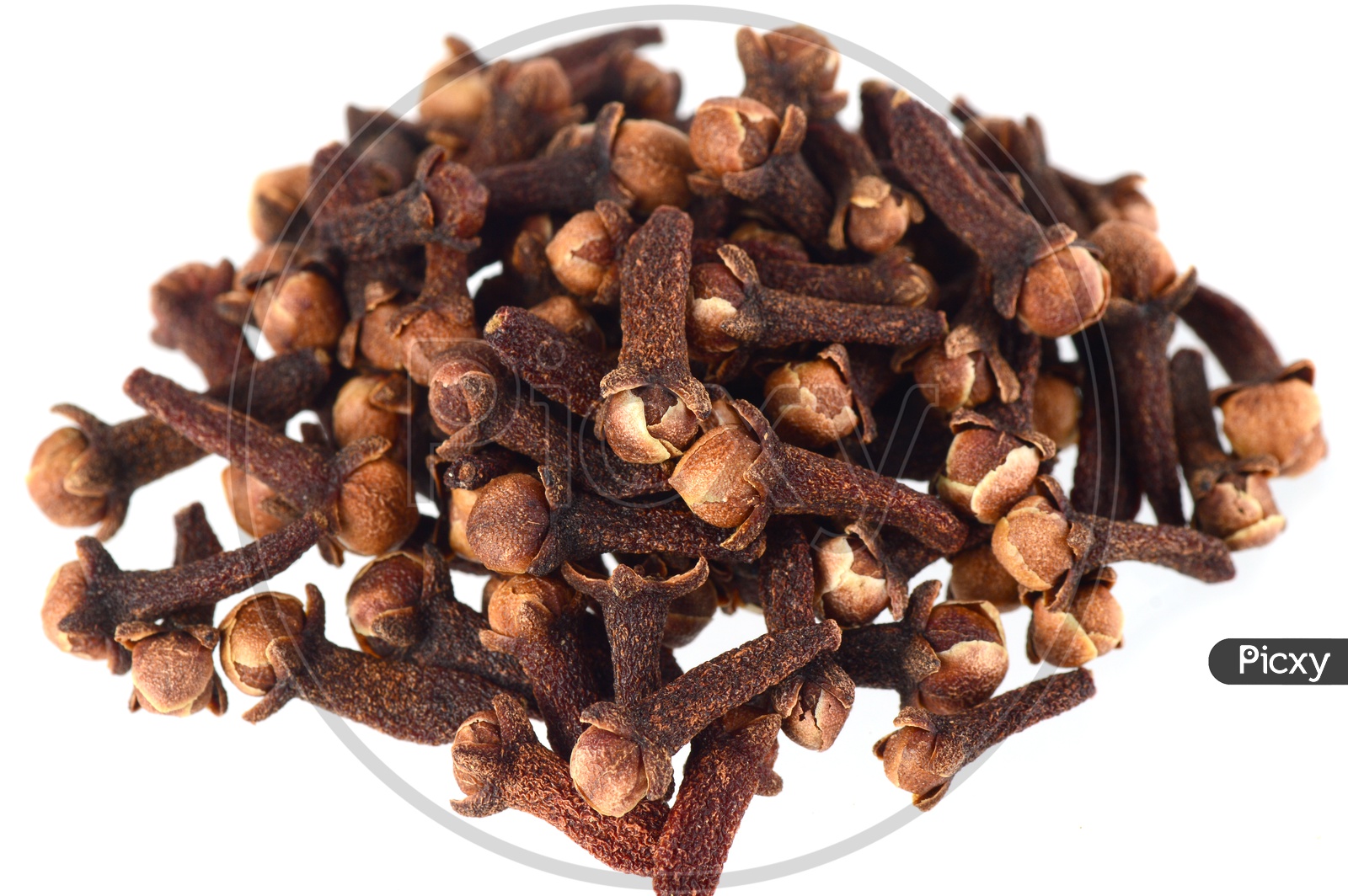 Image of Indian Cloves Or Indian Spices Cloves Pile On an Isolated ...