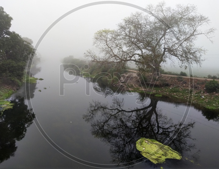 Image of Reflection of Trees In a Water Channel-OJ537793-Picxy