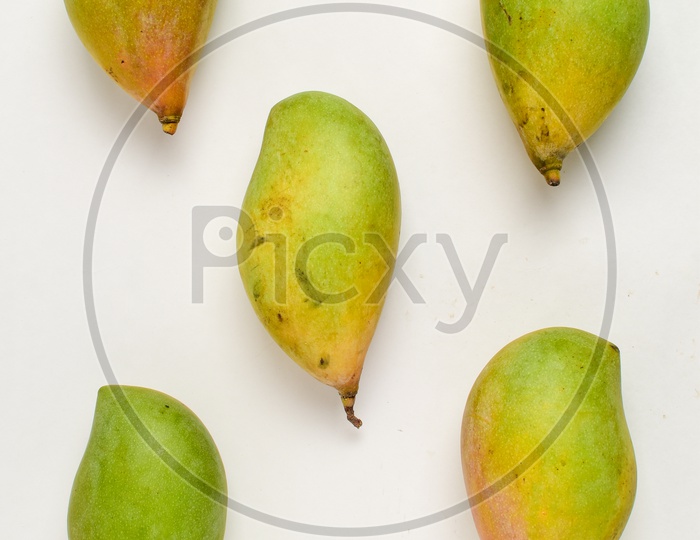 Image of Totapuri or Collector mangoes on a white background.-MD018454 ...