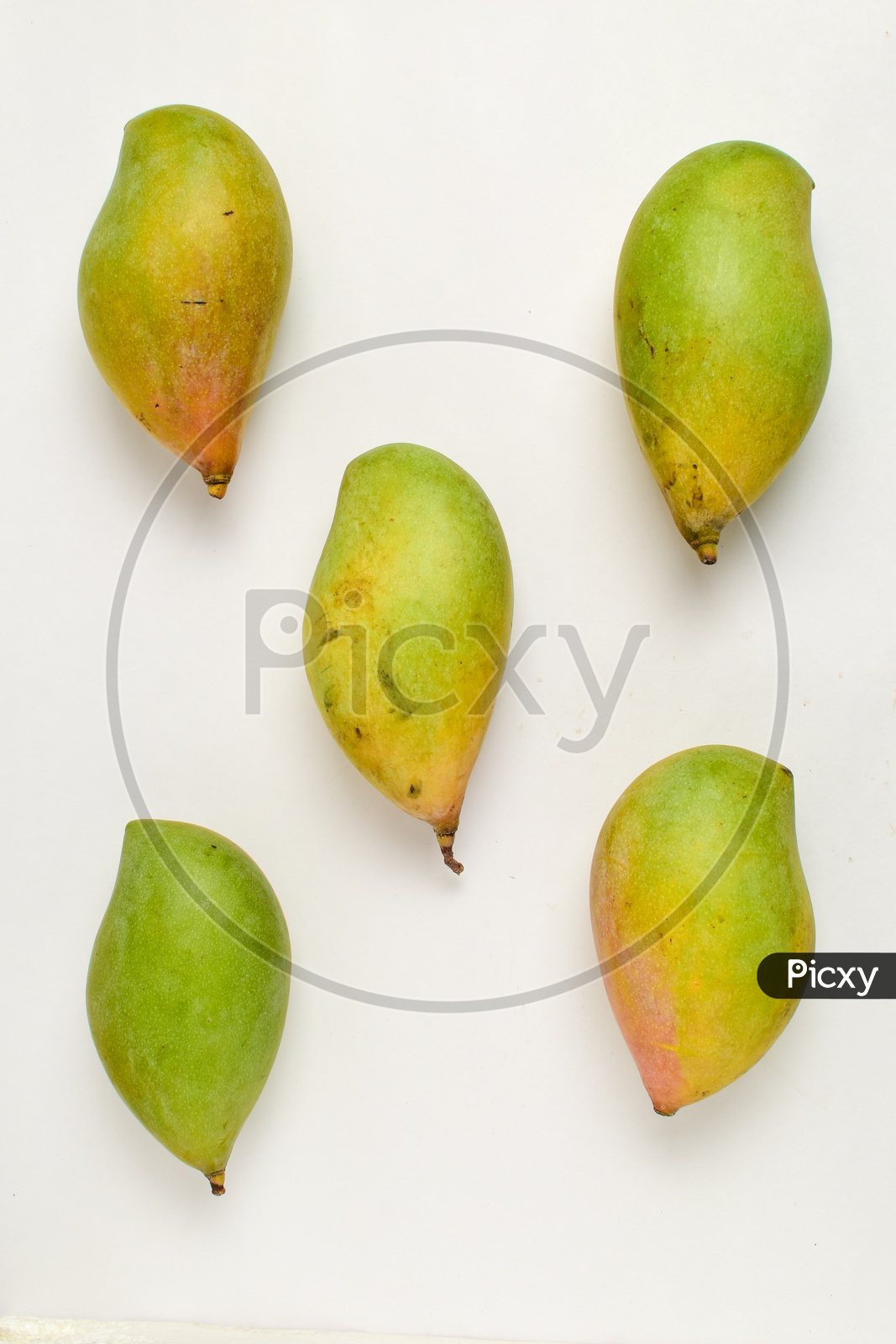 Image of Totapuri or Collector mangoes on a white background.-MD018454 ...