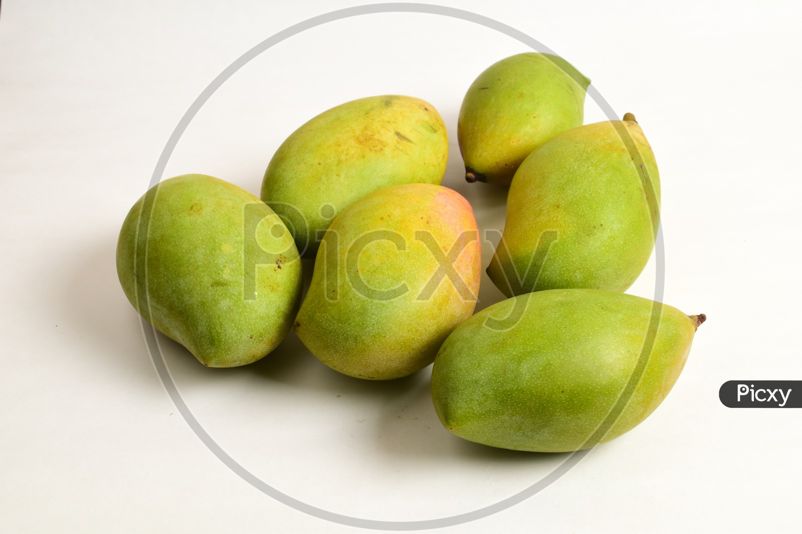 Image of Totapuri or Collector mangoes on a white background.-SN828546 ...