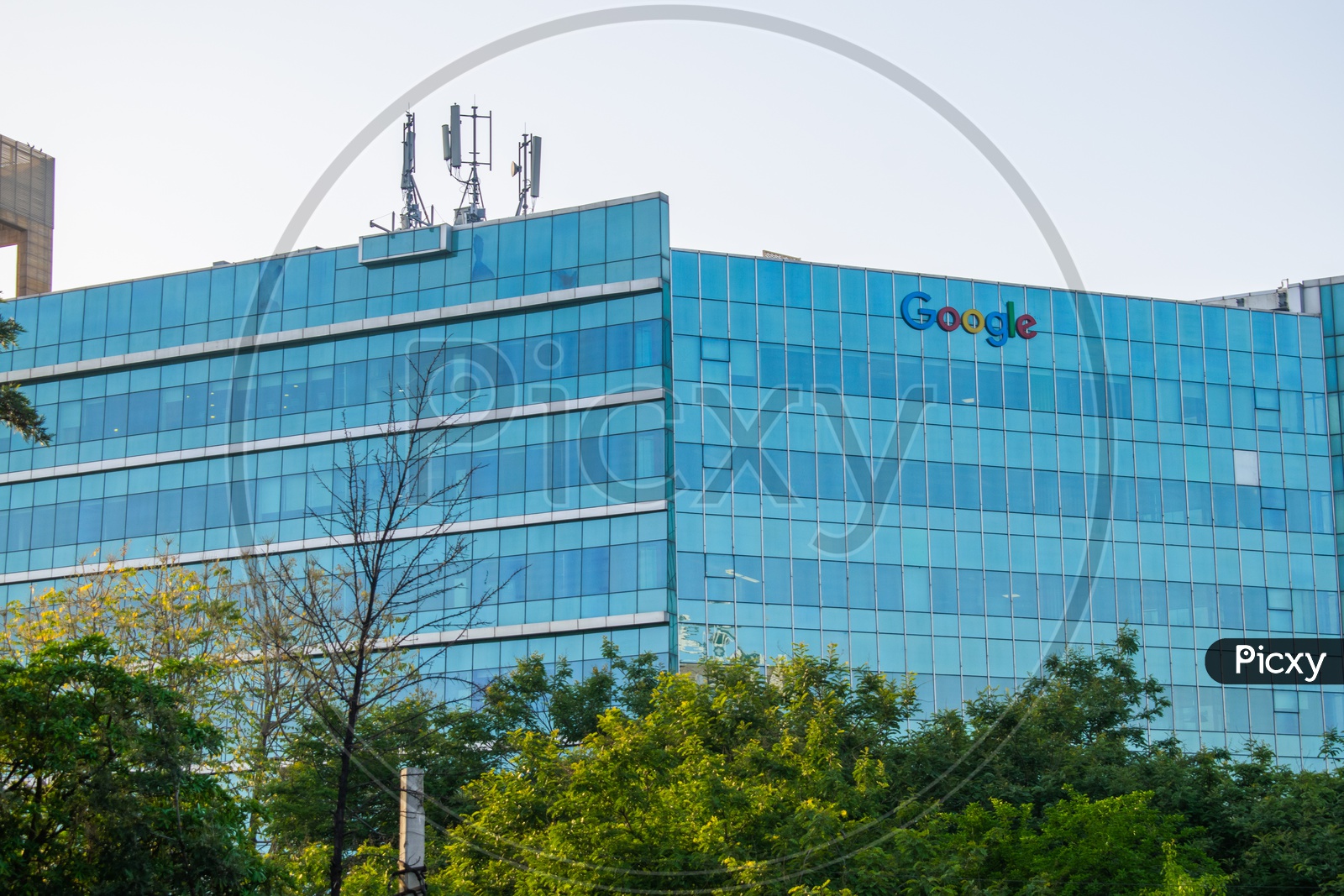 Image Of Google Company Office Gurugram Haryana TX218840 Picxy
