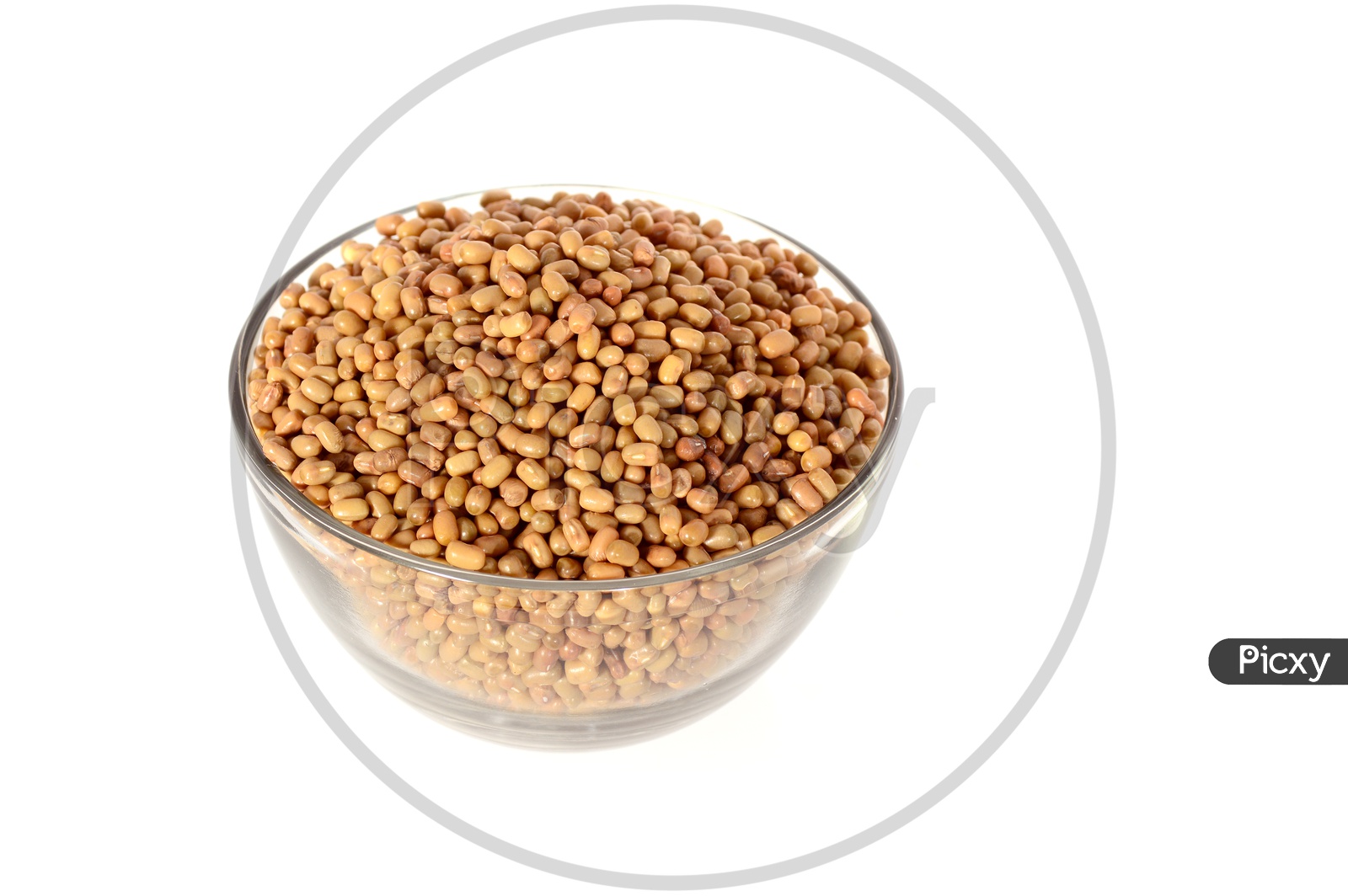 Image of Moth Bean or Dew Bean or Legume Or Turkish Gram Or Mat Bean Or ...