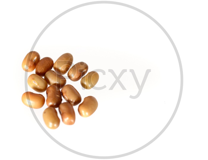 Image of Moth Bean or Dew Bean or Legume Or Turkish Gram Or Mat Bean Or ...