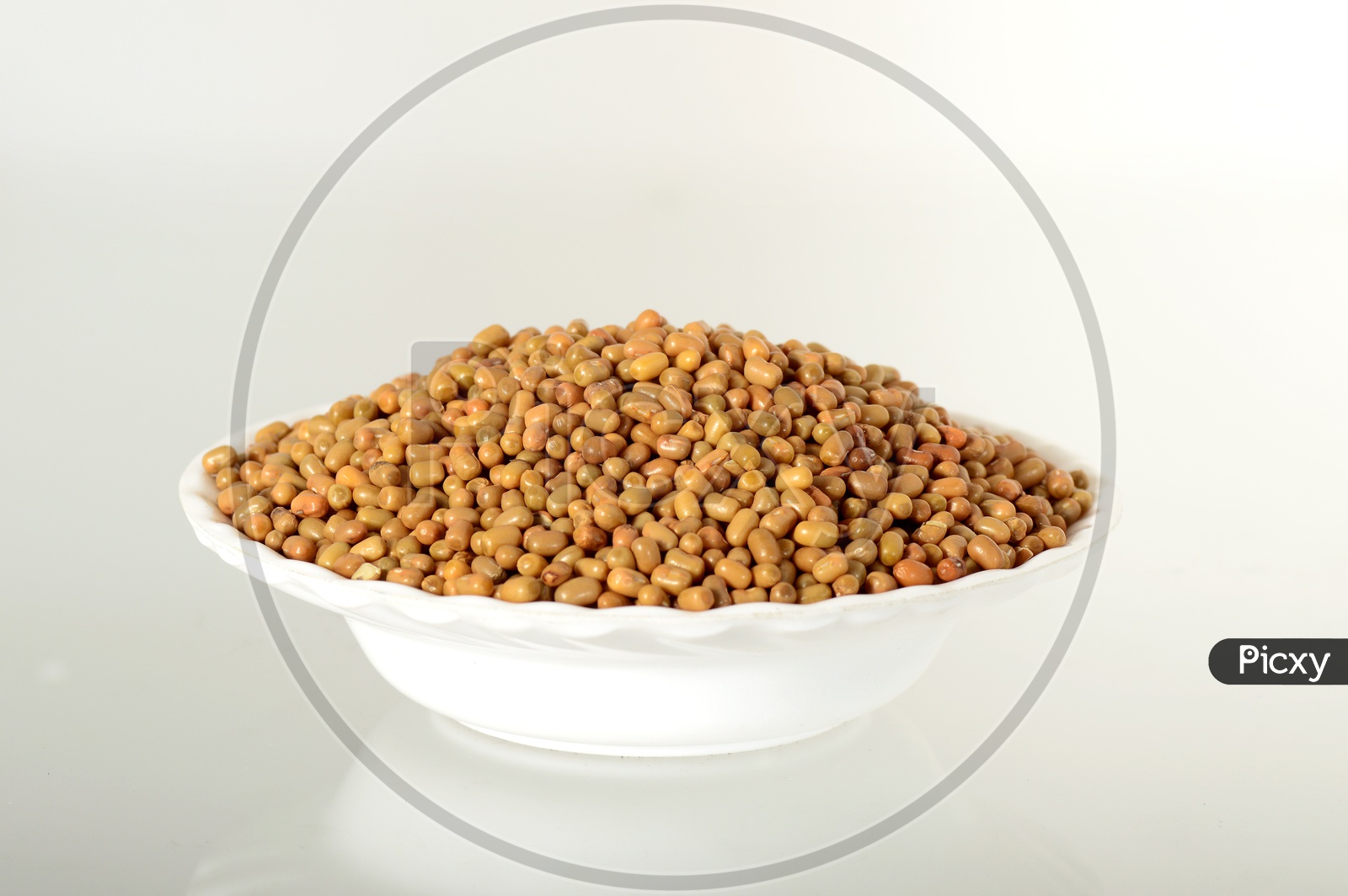 Image of Moth Bean or Dew Bean or Legume Or Turkish Gram Or Mat Bean Or ...