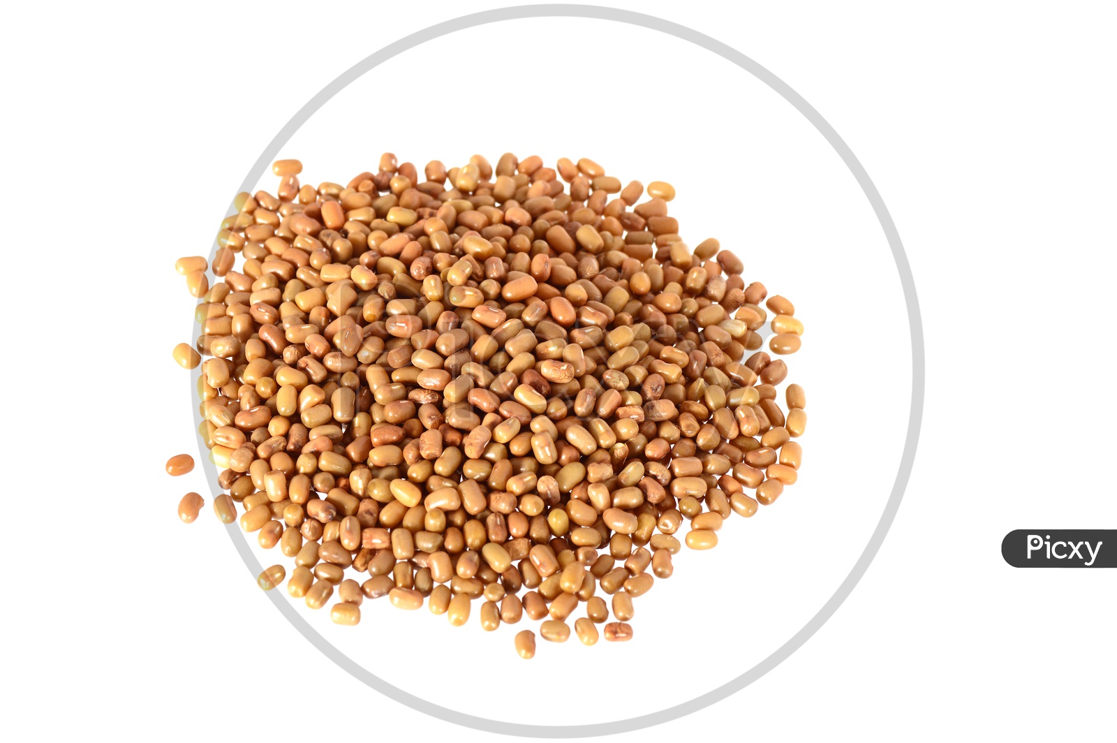 Image of A Heap of Moth Bean or Dew Bean or Legume Or Turkish Gram Or ...