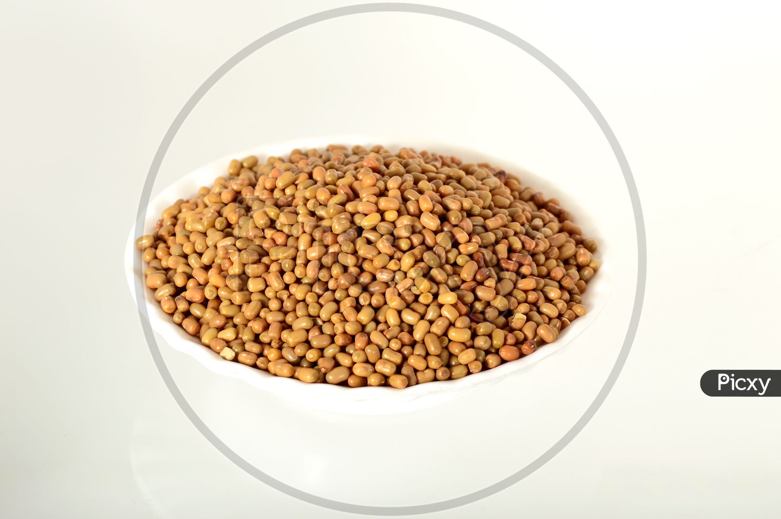 Image of Moth Bean or Dew Bean or Legume Or Turkish Gram Or Mat Bean Or ...