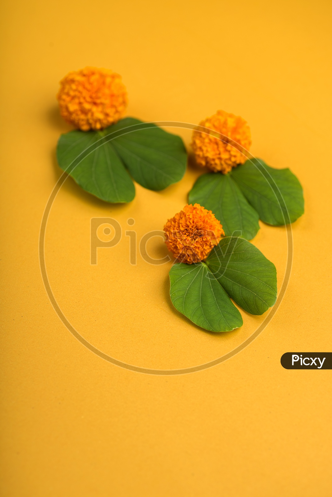 Image of Indian Festival Dussera or Navrathri Symbolic Representation ...