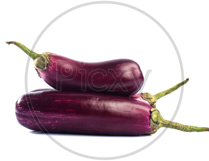 Image of Egg Plant Or Brinjal Or Baigan Or Aubergine Vegetable on an ...