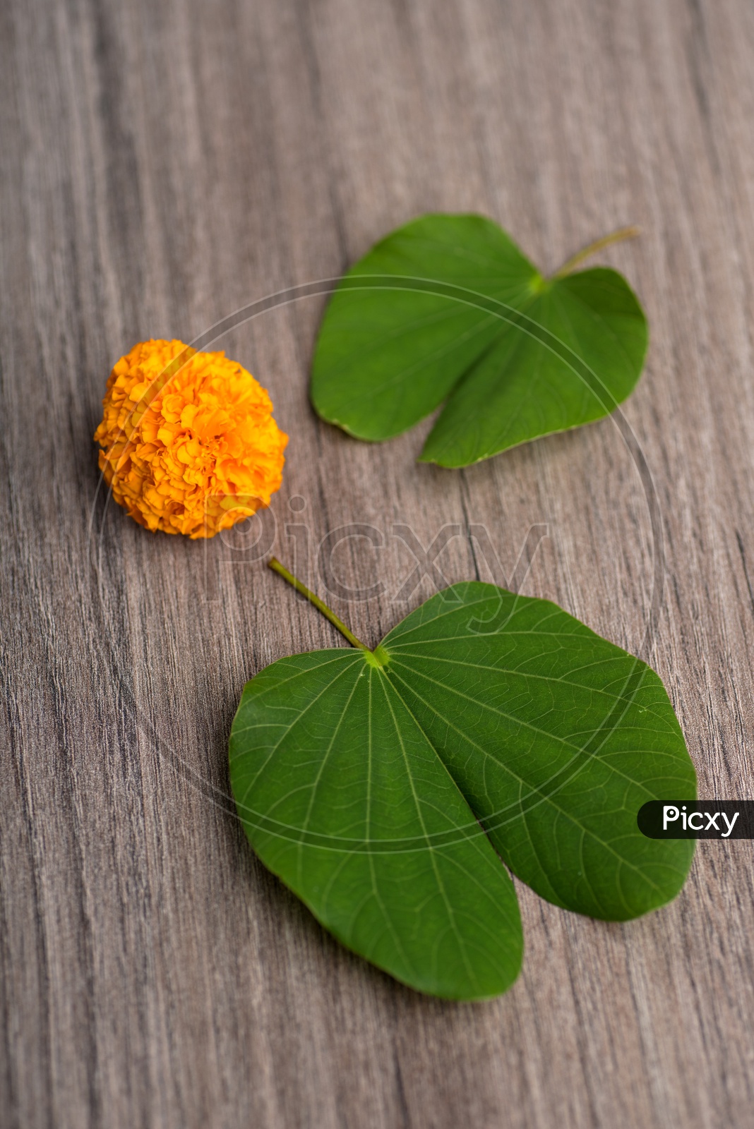 Image of Indian Festival Dussera or Navrathri Symbolic Representation ...