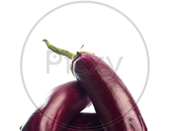 Image of Egg Plant Or Brinjal Or Baigan Or Aubergine Vegetable on an ...