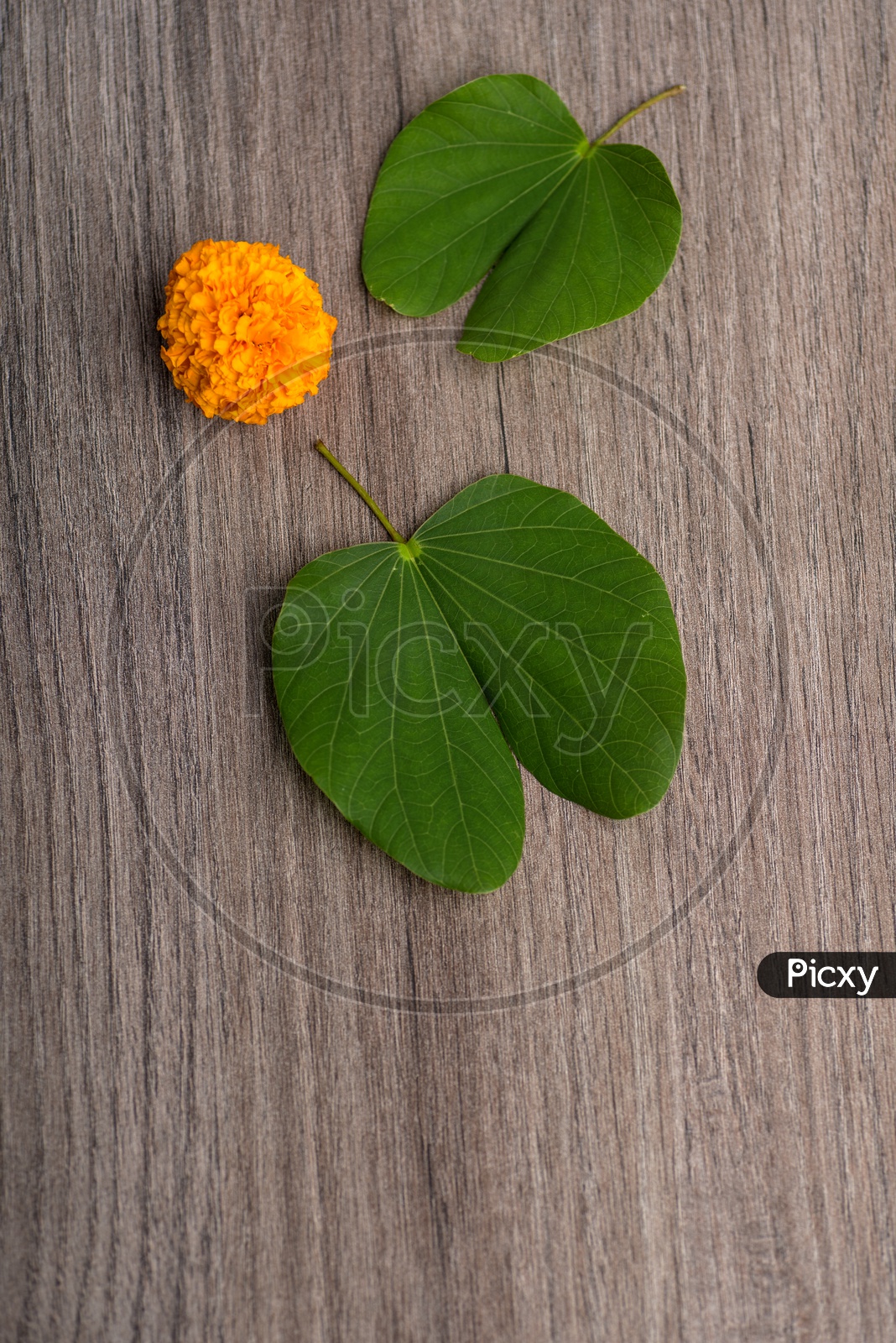 Image of Indian Festival Dussera or Navrathri Symbolic Representation ...