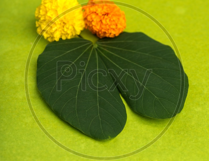 Image of Indian Festival Dussera or Navrathri Symbolic Representation ...