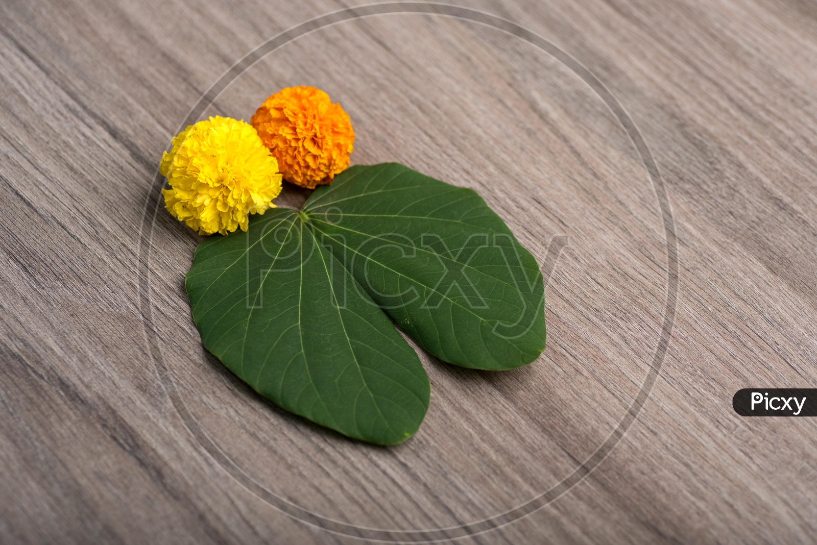 Image of Indian Festival Dussera or Navrathri Symbolic Representation ...