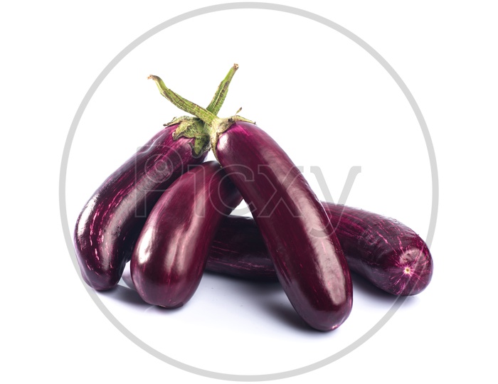 Image of Egg Plant Or Brinjal Or Baigan Or Aubergine Vegetable on an ...