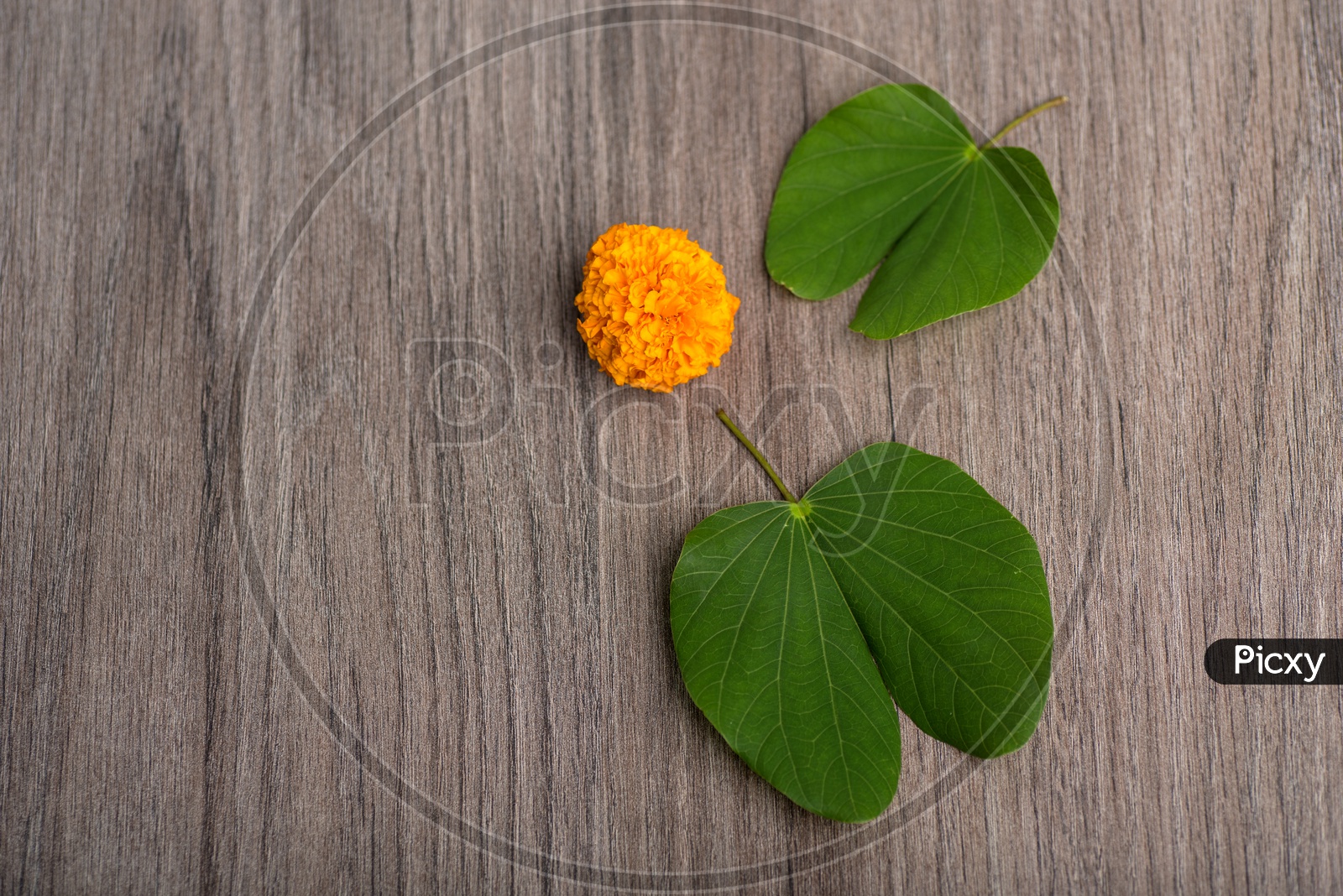 Image of Indian Festival Dussera or Navrathri Symbolic Representation ...