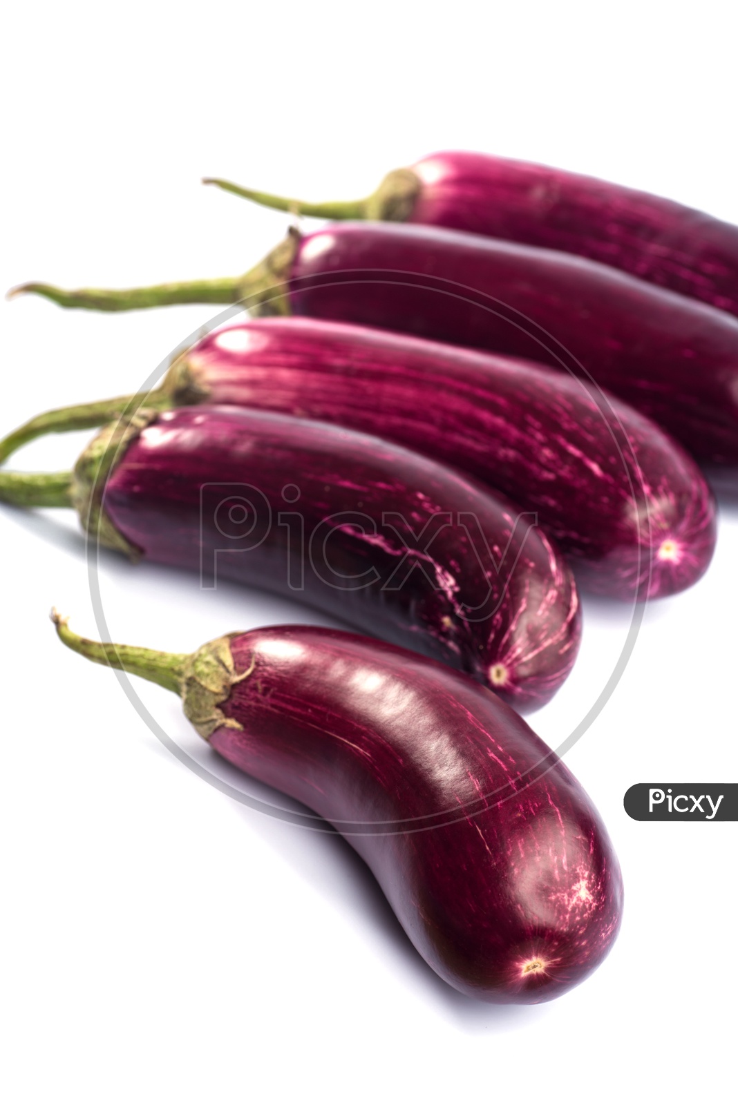 Image of Egg Plant Or Brinjal Or Baigan Or Aubergine Vegetable on an ...