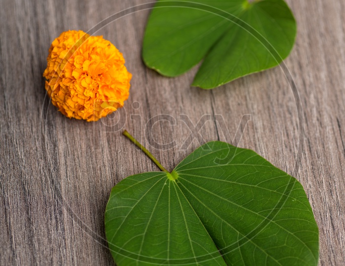 Image of Indian Festival Dussera or Navrathri Symbolic Representation ...