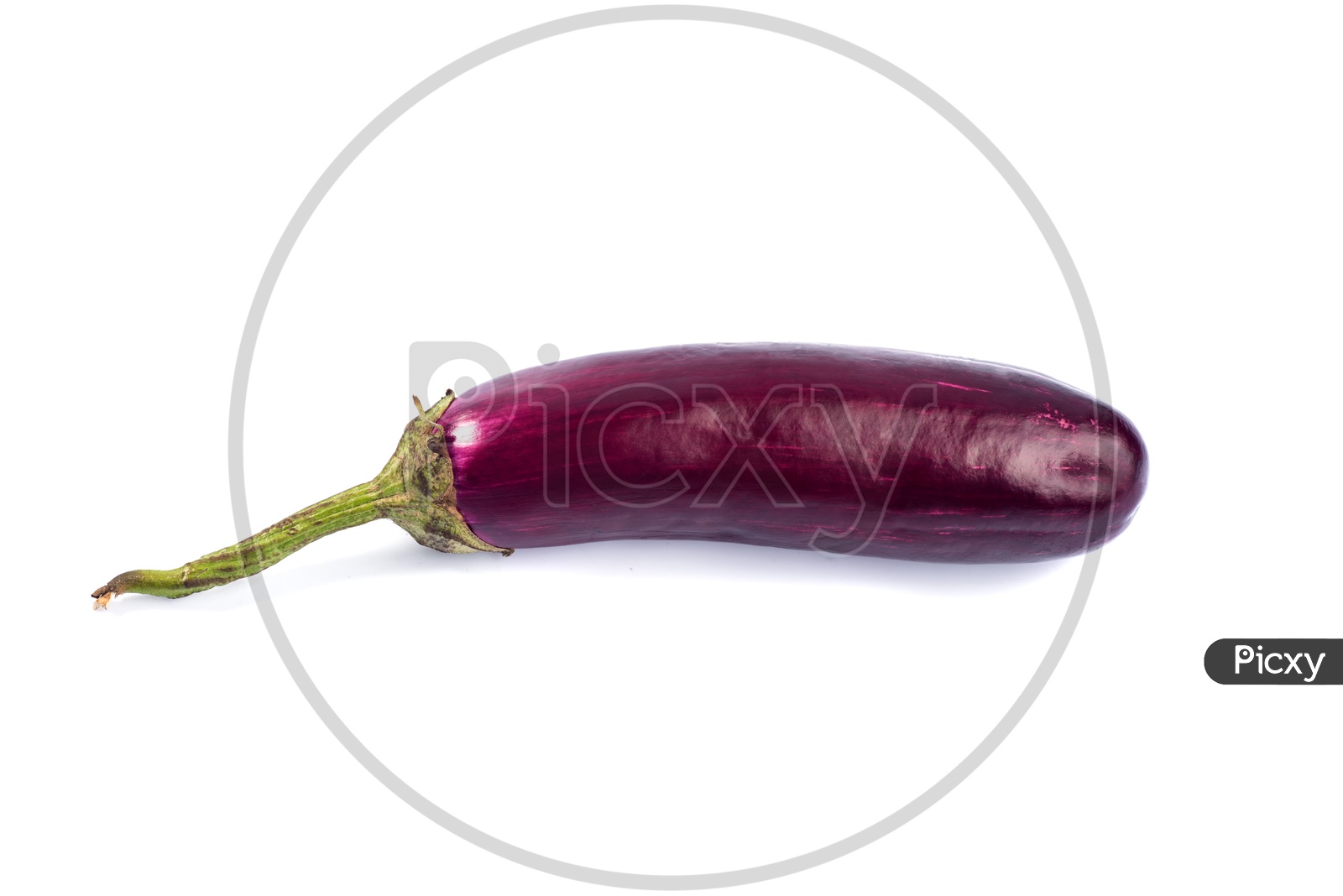 Image of Egg Plant Or Brinjal Or Baigan Or Aubergine Vegetable on an ...