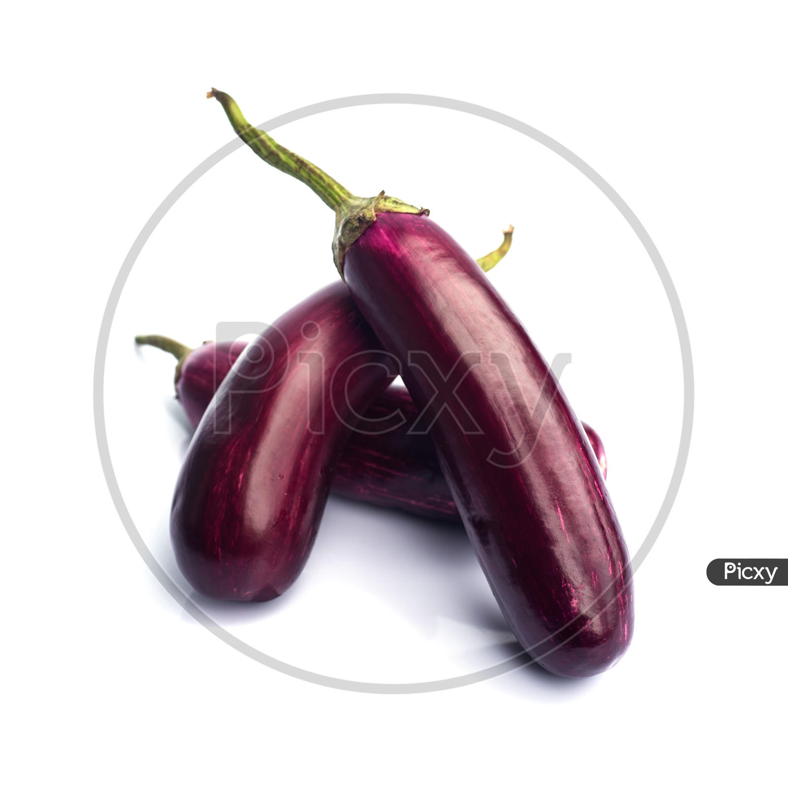 Single Brinjal Images
