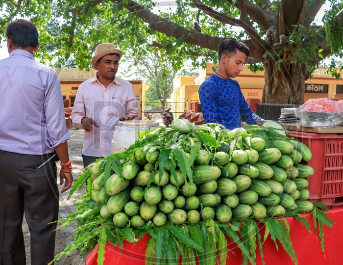 Image of Street vendor selling cucumber on a hot sunny day-MQ647356-Picxy