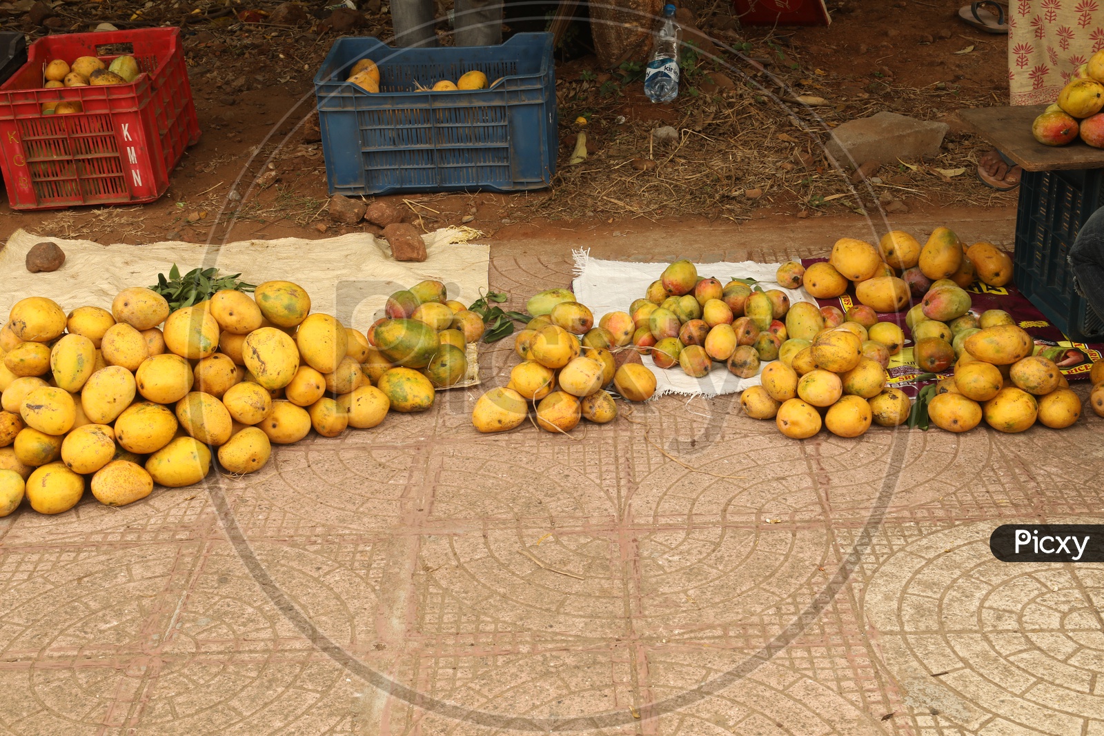 Image of Mango Piles At a Vendor Stall-GJ045884-Picxy
