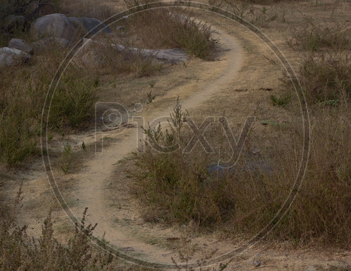 Image of Naturally Formed Pathway Near Agricultural Fields Or Rural ...