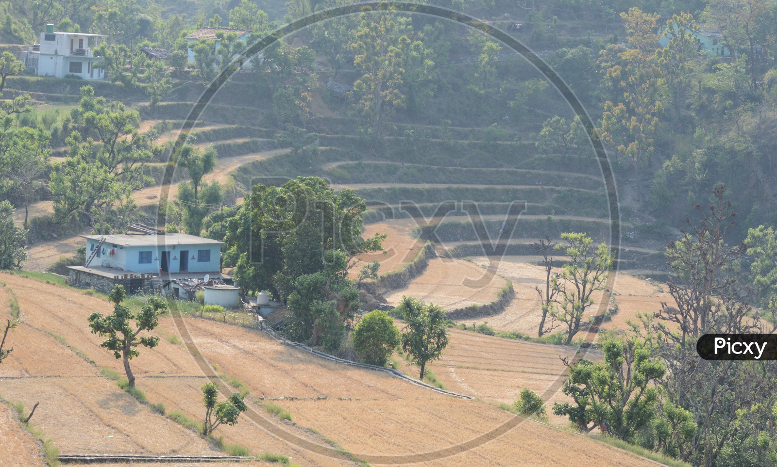 Image of Step Farming-ND011987-Picxy