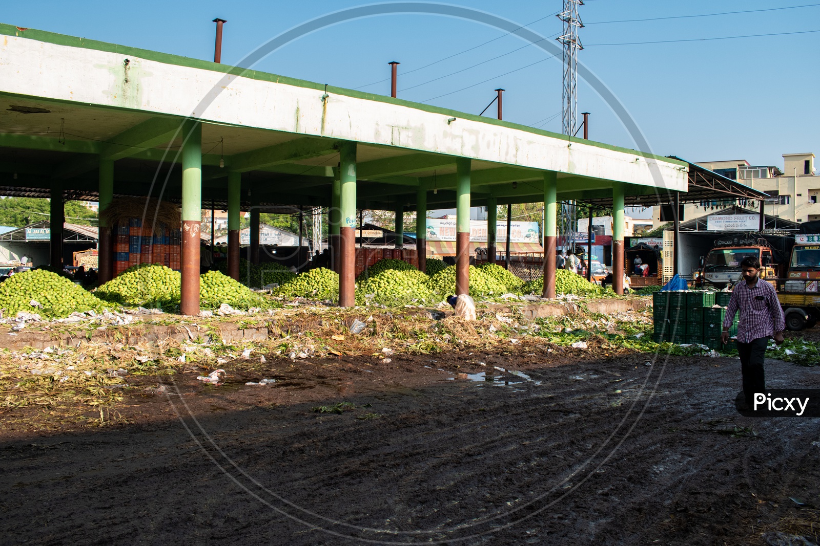 Image of Person walking through the mud roads at Kothapet Fruit market ...