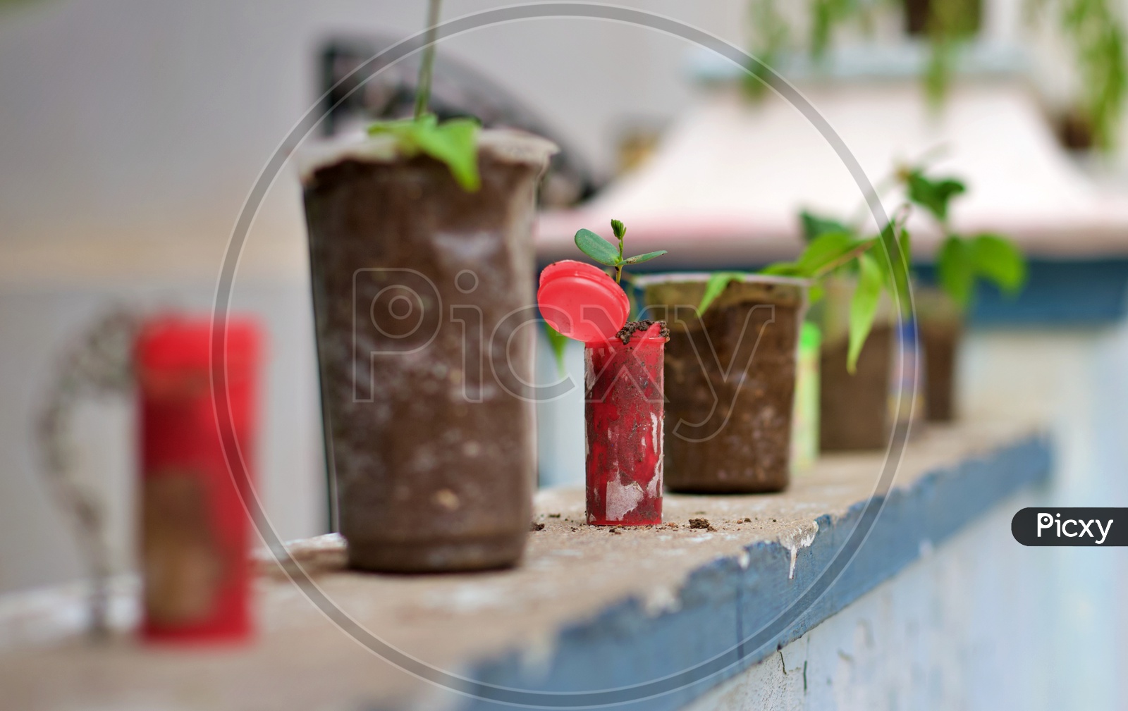 Image of Plastic material being used to grow small crops.-GX246161-Picxy