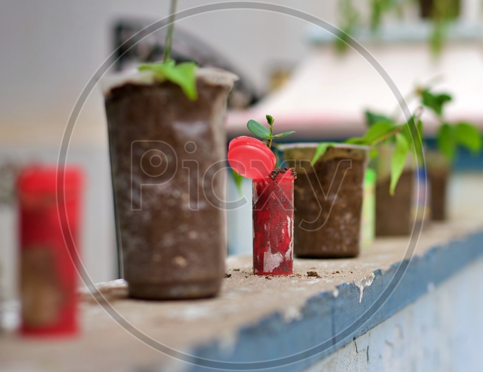 Image of Plastic material being used to grow small crops.-GX246161-Picxy