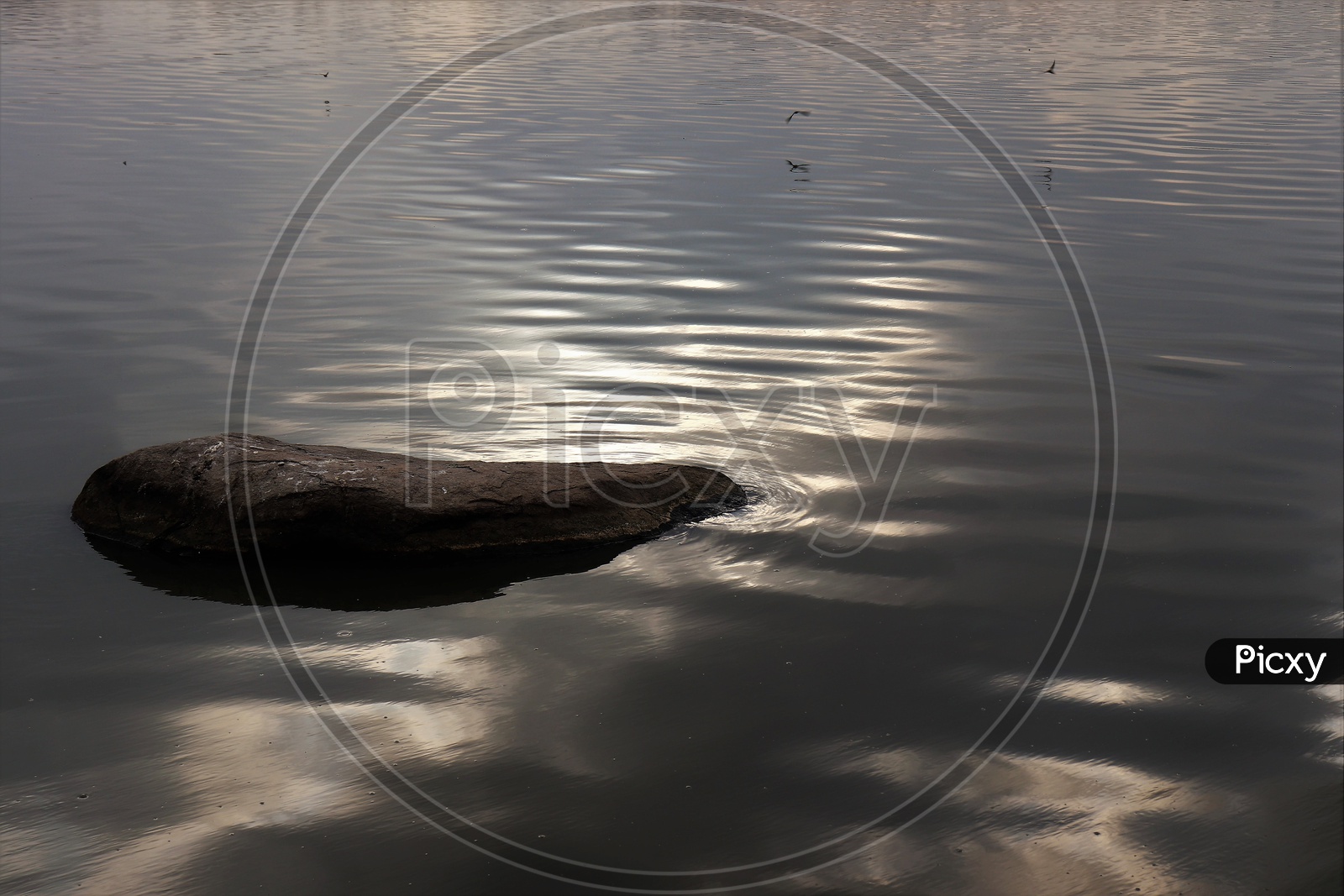 Image of A Lone Stone or Rock Half Sink Into a Lake Water-CP400394-Picxy