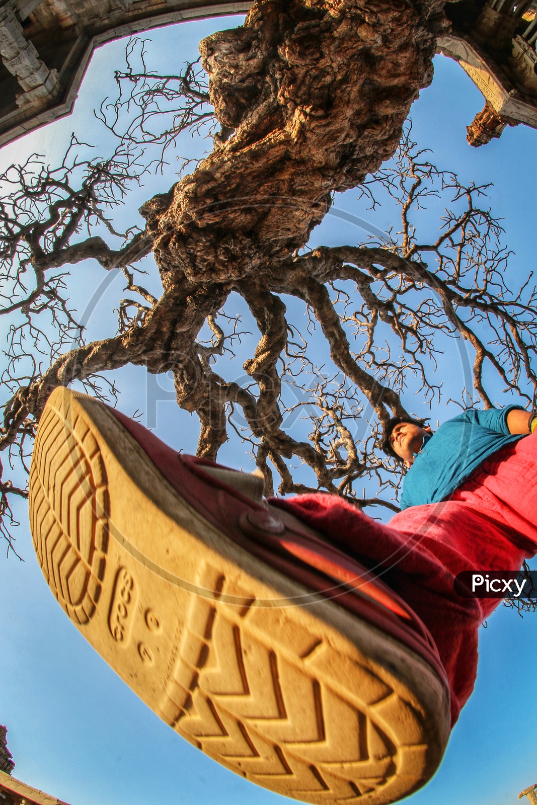 Image of A Man Taking a Step Closeup and Composition Shot With Leaf ...