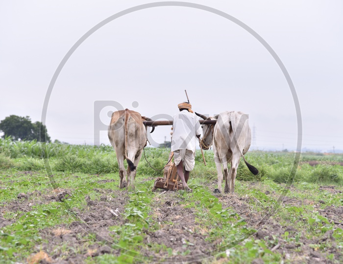 Image of Raithu-UN143529-Picxy