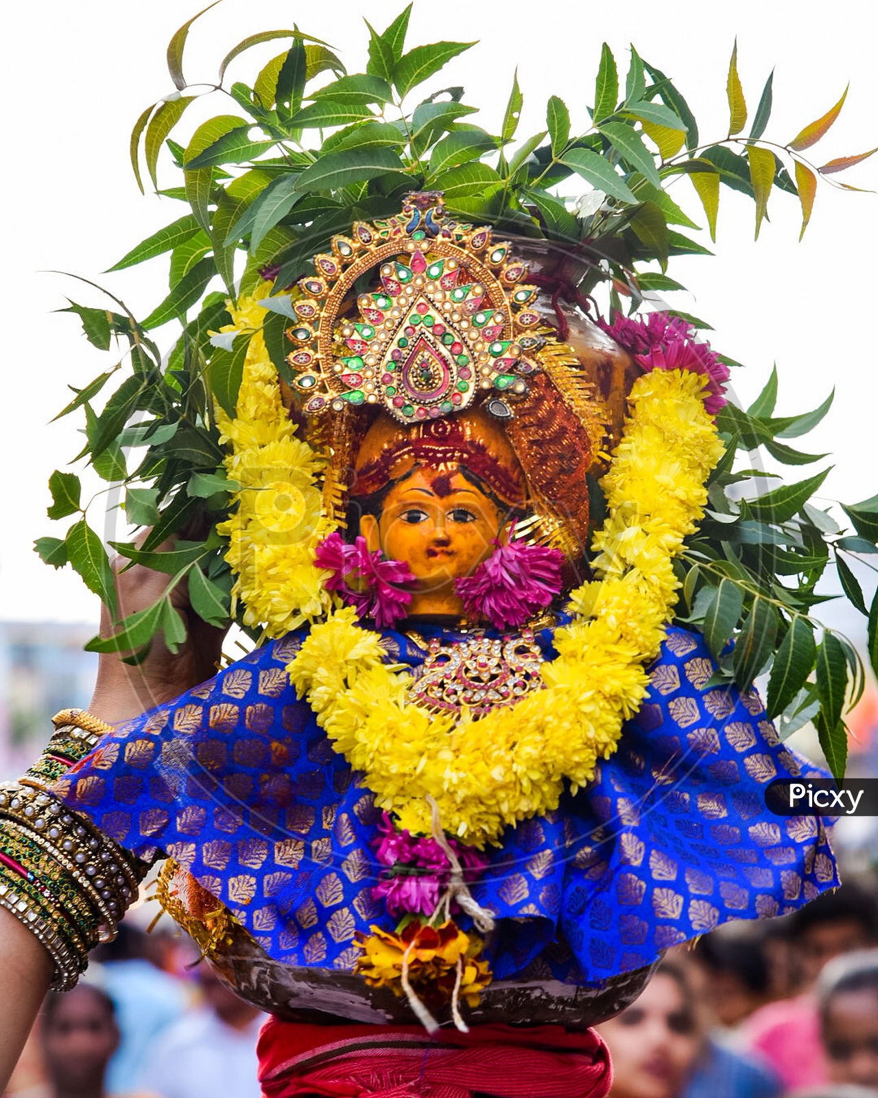 Image of Bonam-QO676387-Picxy