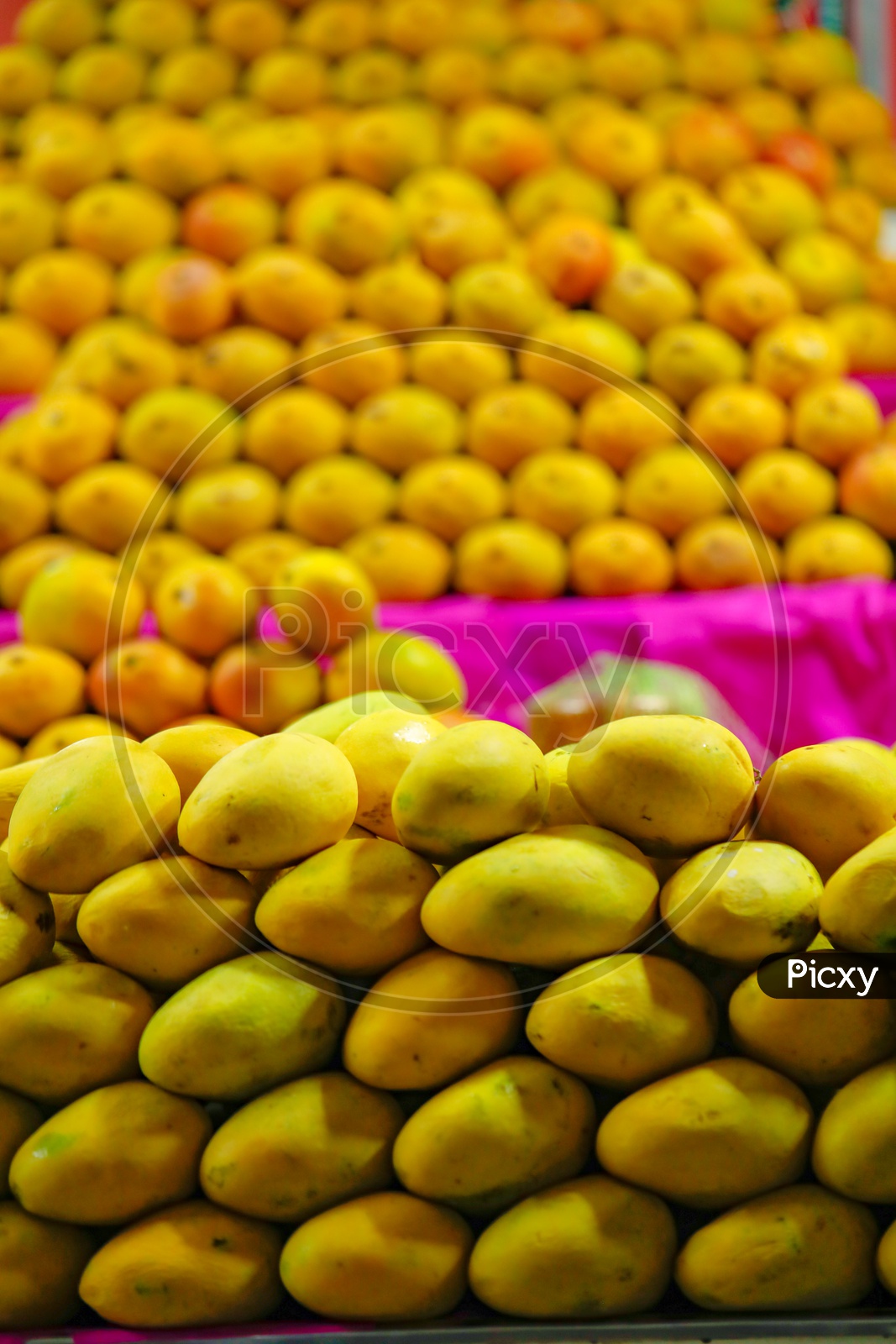 Image of Mangoes In A Fruit Vendor Shop Or Stall-XP389812-Picxy
