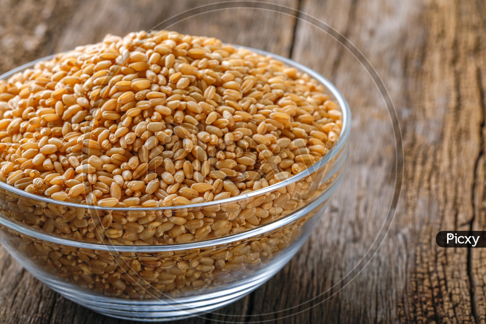 Image of Wheat Grains In a Glass Bowl On an Isolated Wooden Background ...