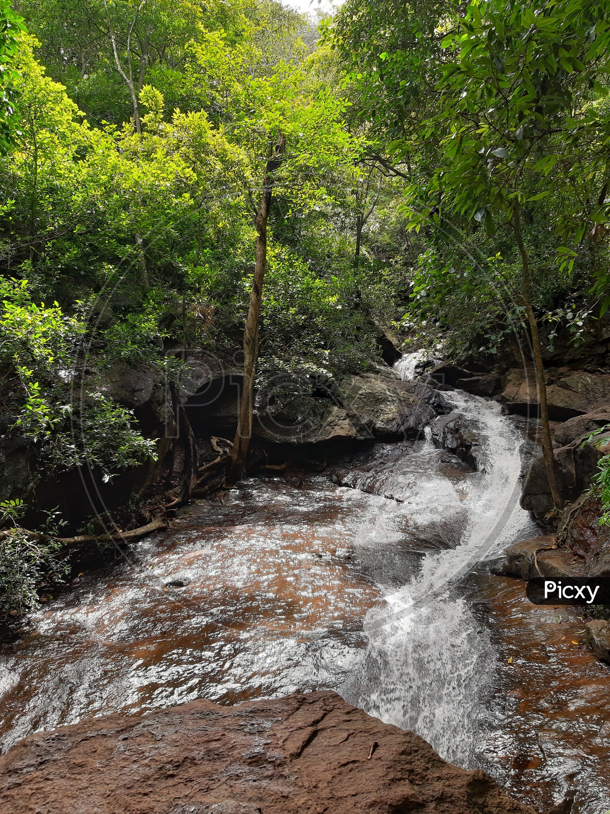 Image of Waterfalls at Maredumilli-UN077372-Picxy