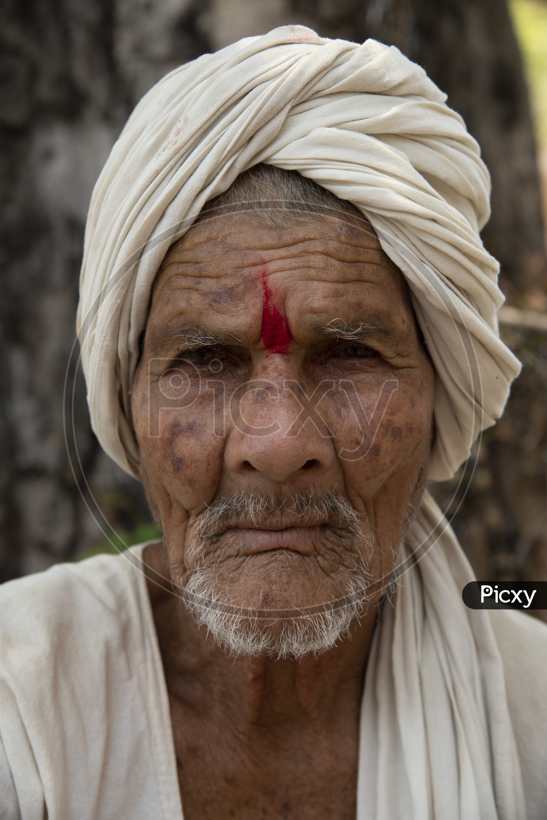 Old Man Portrait Photography