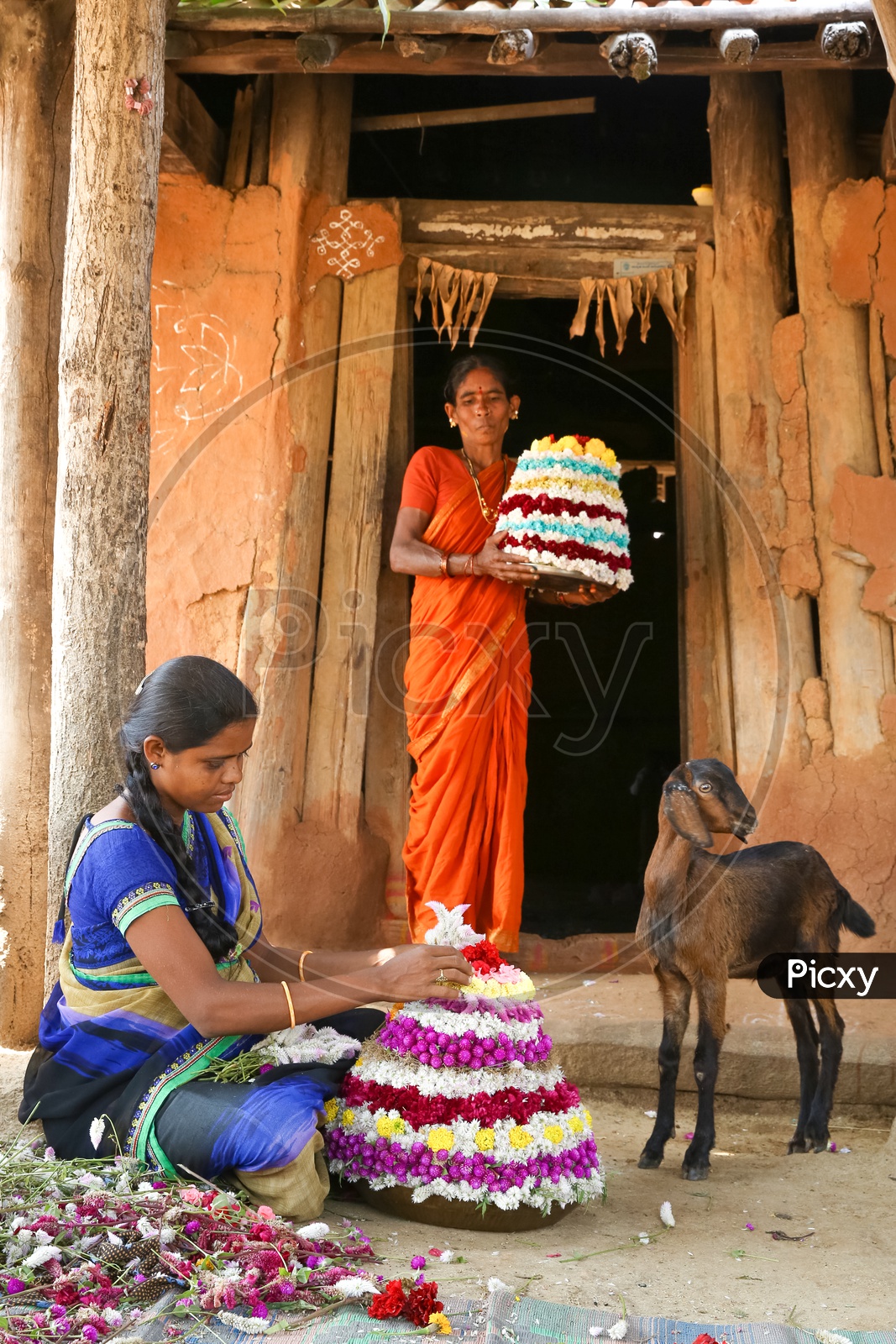 Image of Telangana Rural Village Woman Preparing Bhathukamma-BH023899-Picxy