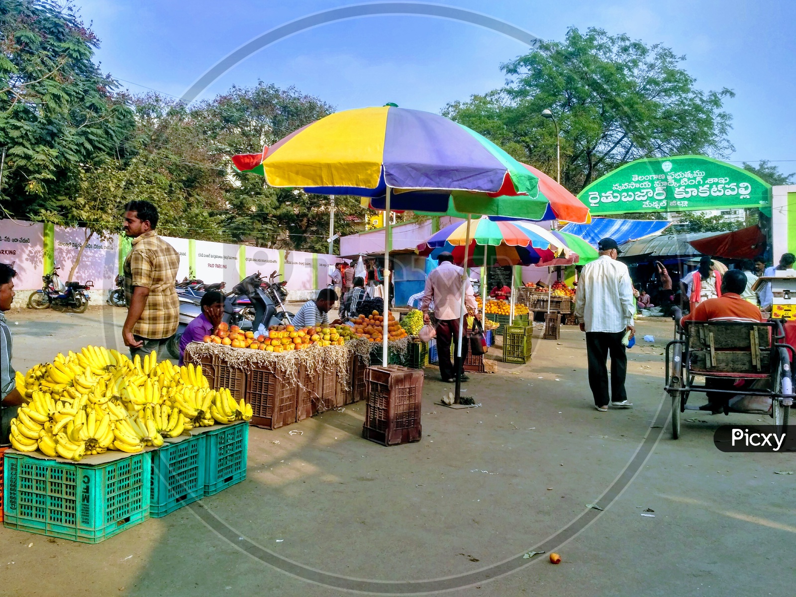 Image of Rythu Bazar Kukatpally-ZS979690-Picxy