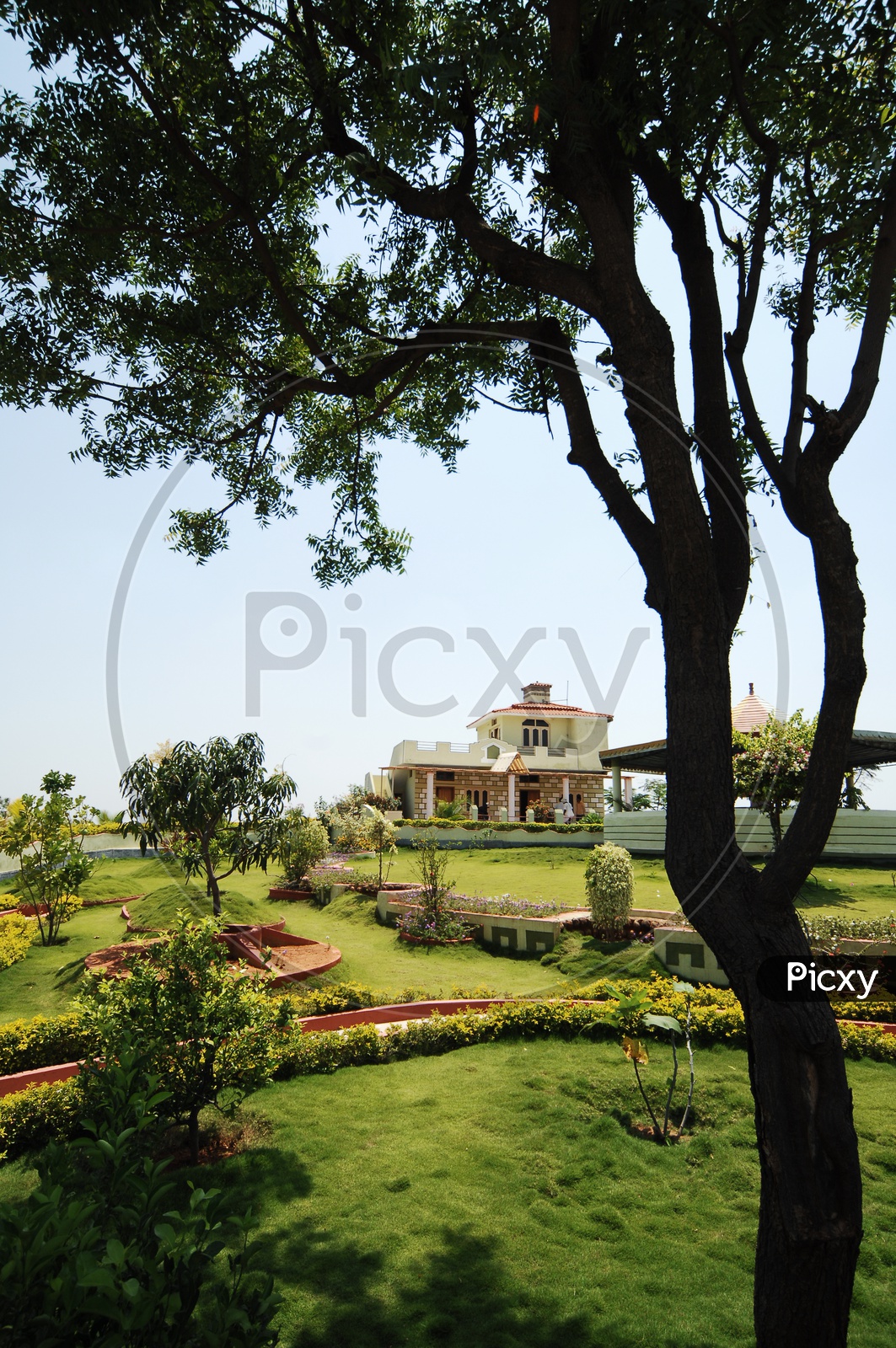 Image of Lawn Garden In an Individual House Compound-IW613537-Picxy