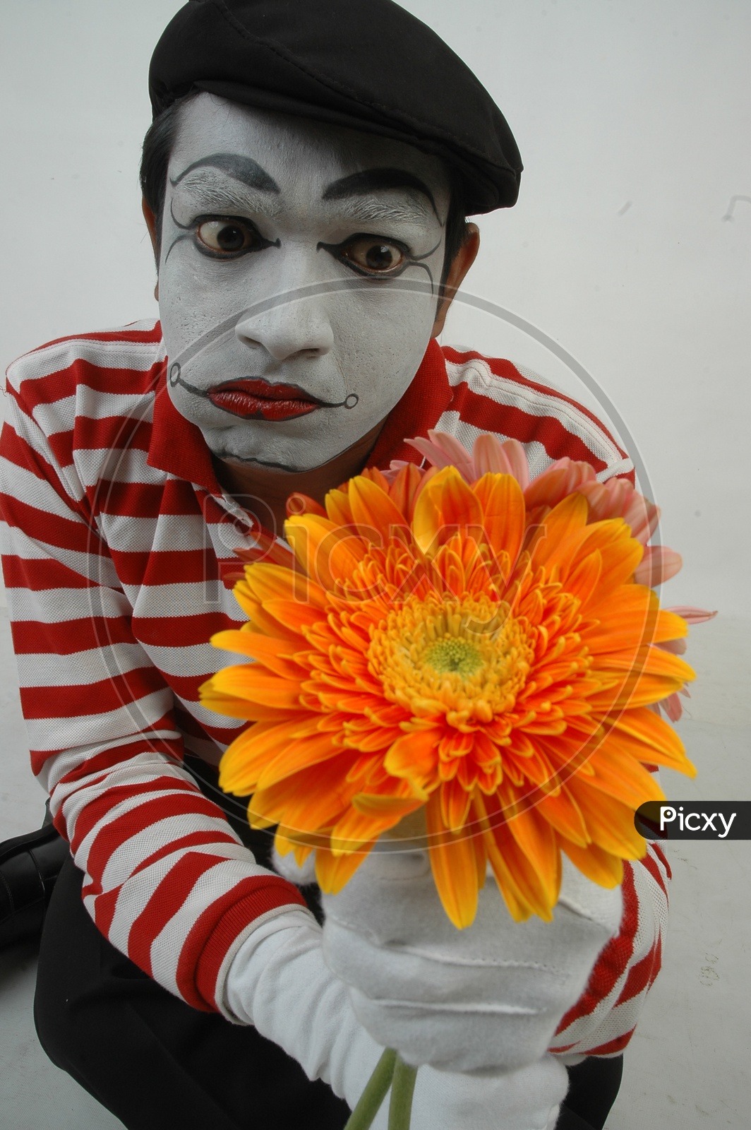 Image of Male Mime Artist With Gestures Isolated over White Background ...