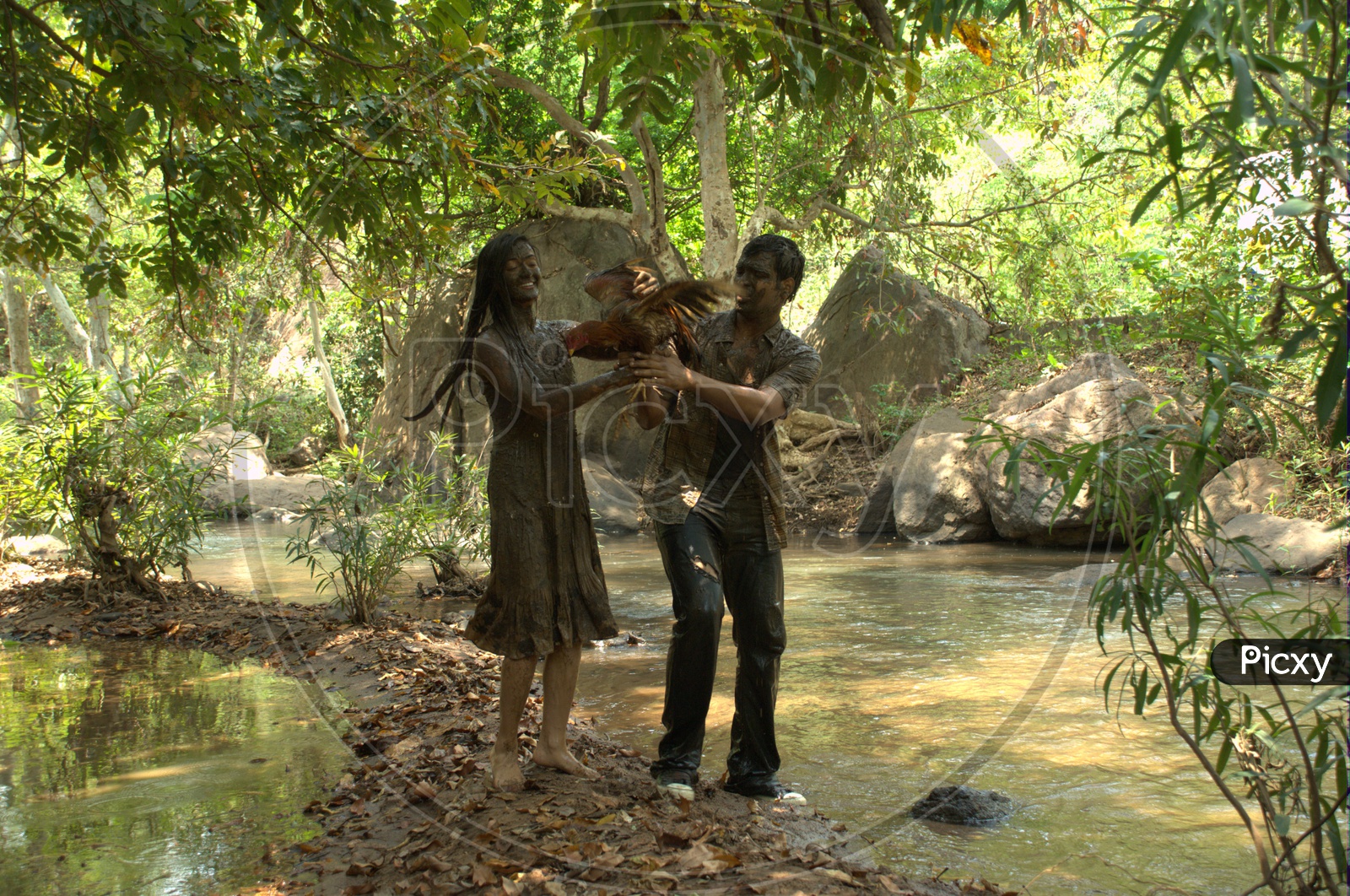 Image of Young Indian Couple trying to catch Hen in Forest-NU160473-Picxy