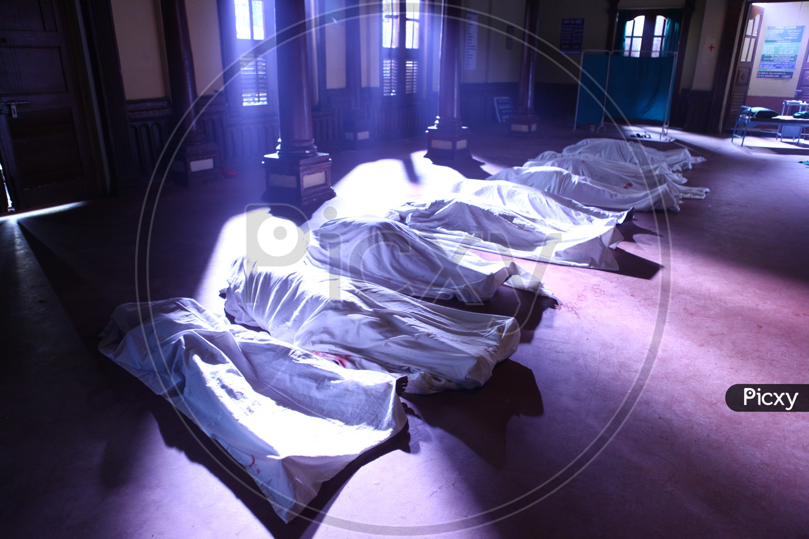 Image of Dead Bodies in a Hospital-EP895132-Picxy