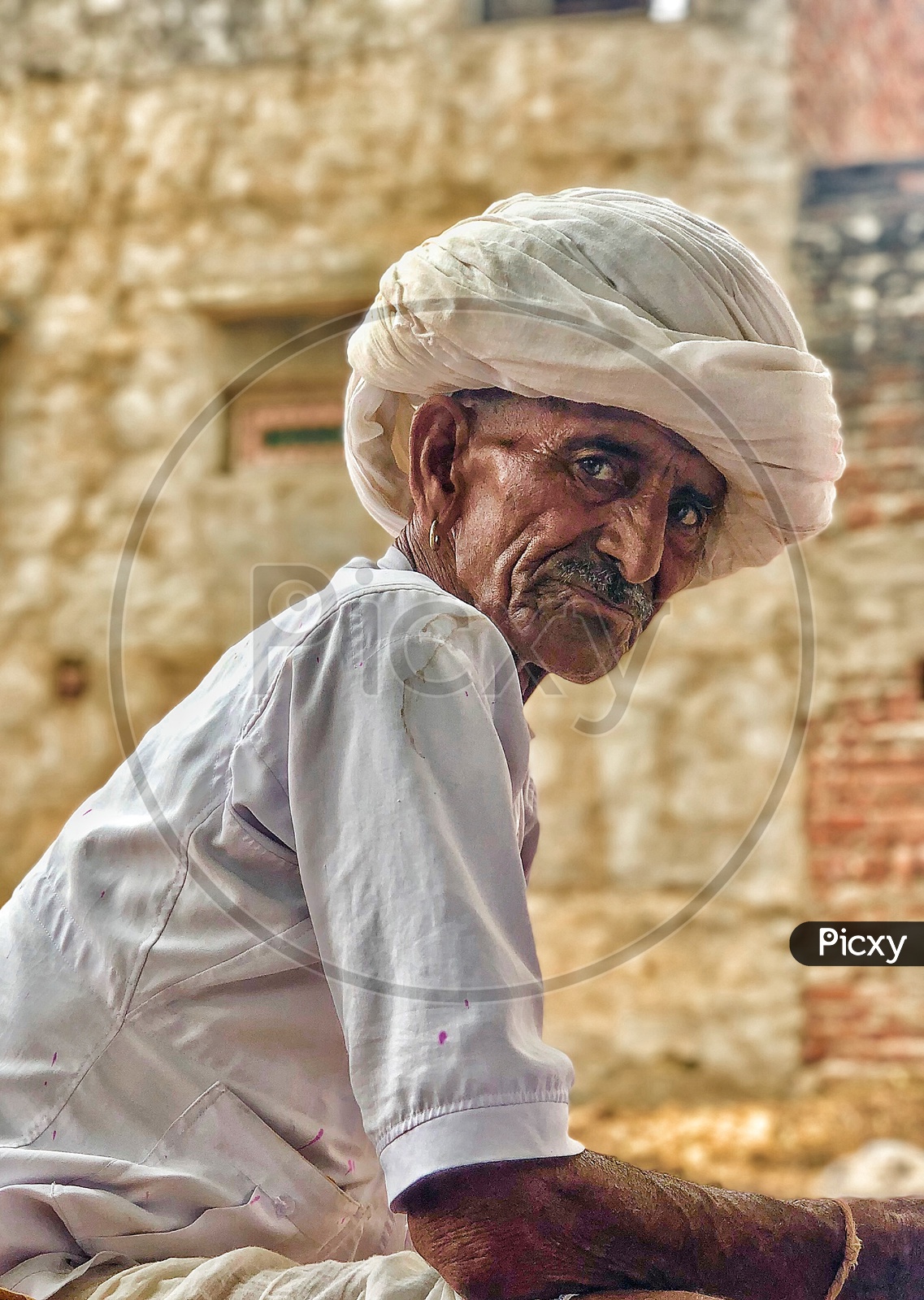 Image of OLD MAN SWAG-ZY751897-Picxy